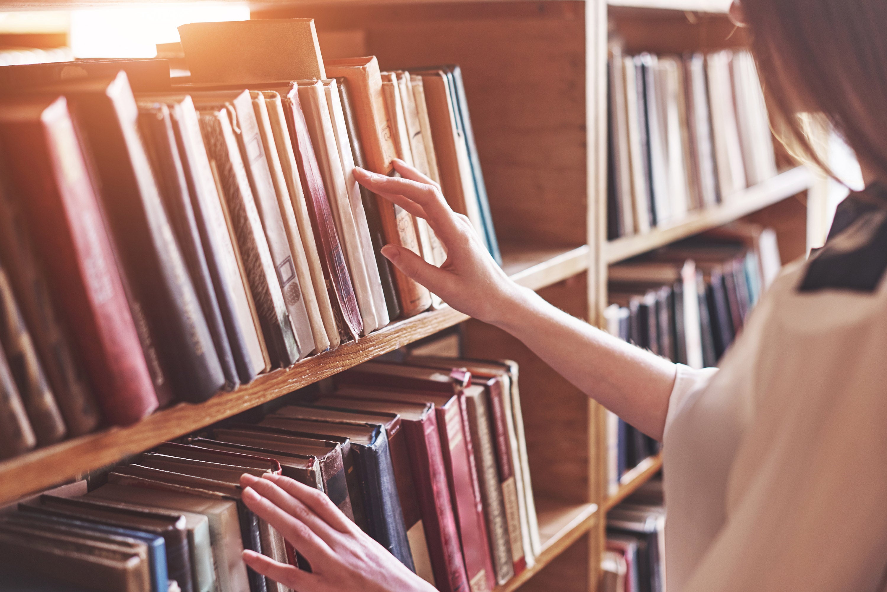 Librarian – Page 2 – Brave New Look